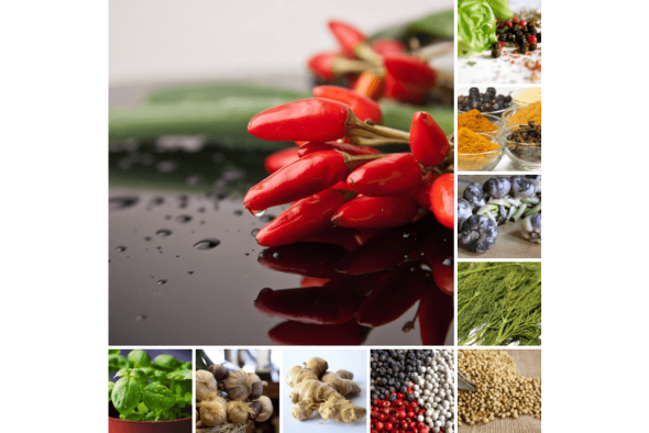 Photo grid templates - create photo grids in minutes with Xara Cloud