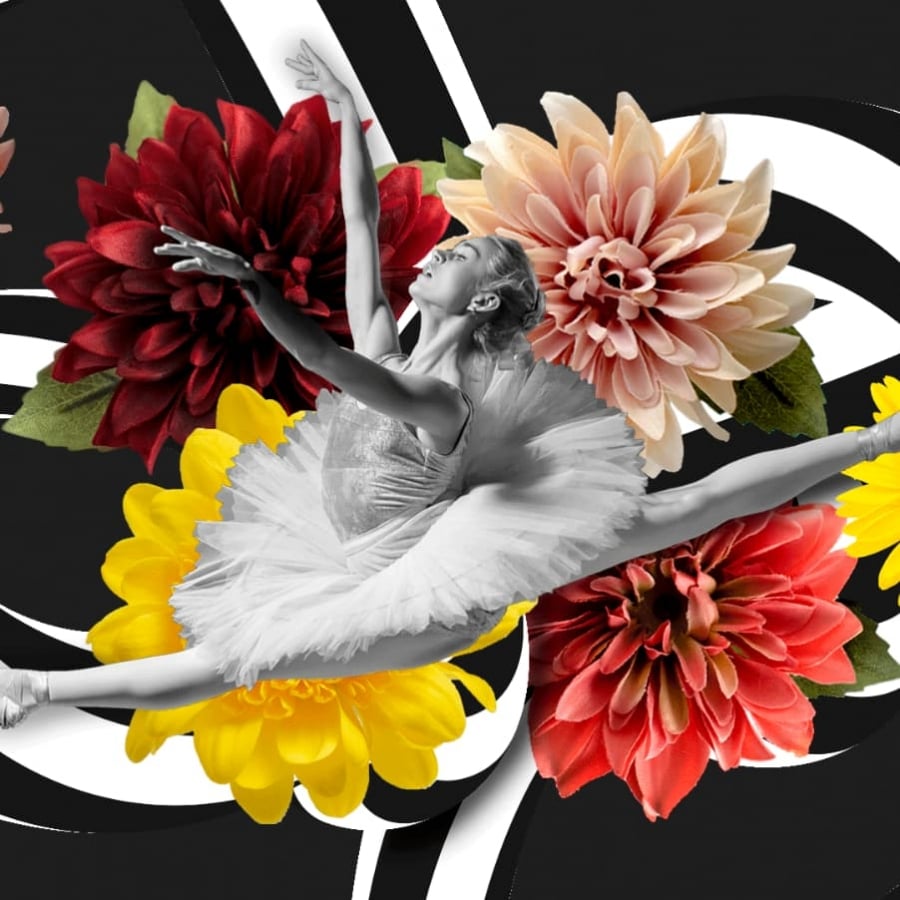 Xara Photo & Graphic Designer+ | The Fastest Photo Editing Software